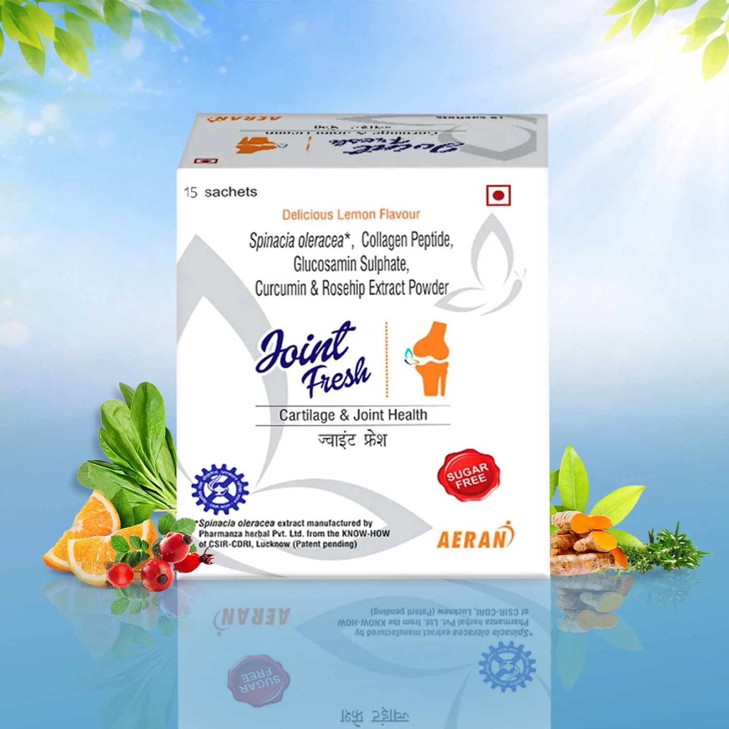 Ayurvedic Powder for Osteoarthritis – Joint Pain Relief, Mobility & Fl ...